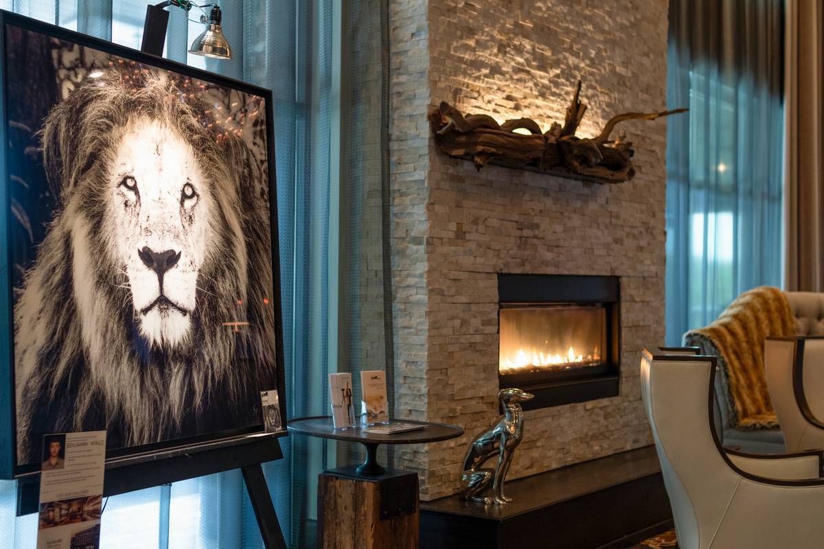 Photo Shoot - Residence Inn By Marriott Kiawah Island-Andell Inn ...